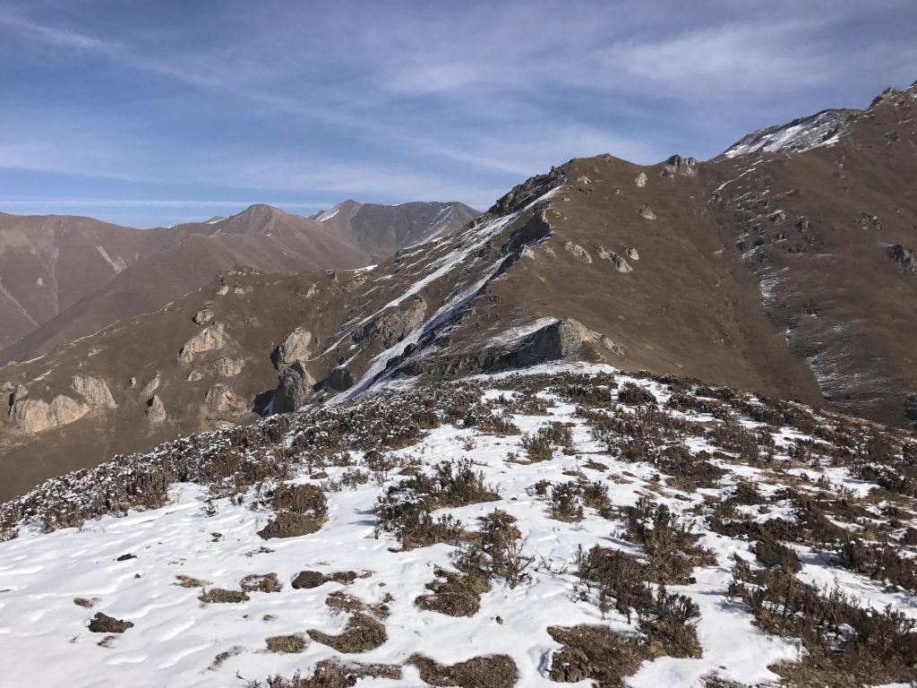 YouNing Monastery - a great day trip from Xining! - Elevated Trips