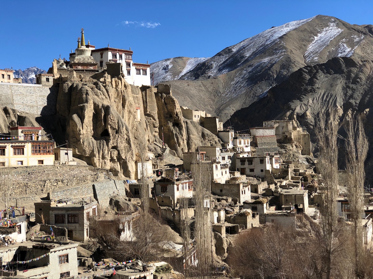 Seven Incredible Days in Ladakh! - Elevated Trips