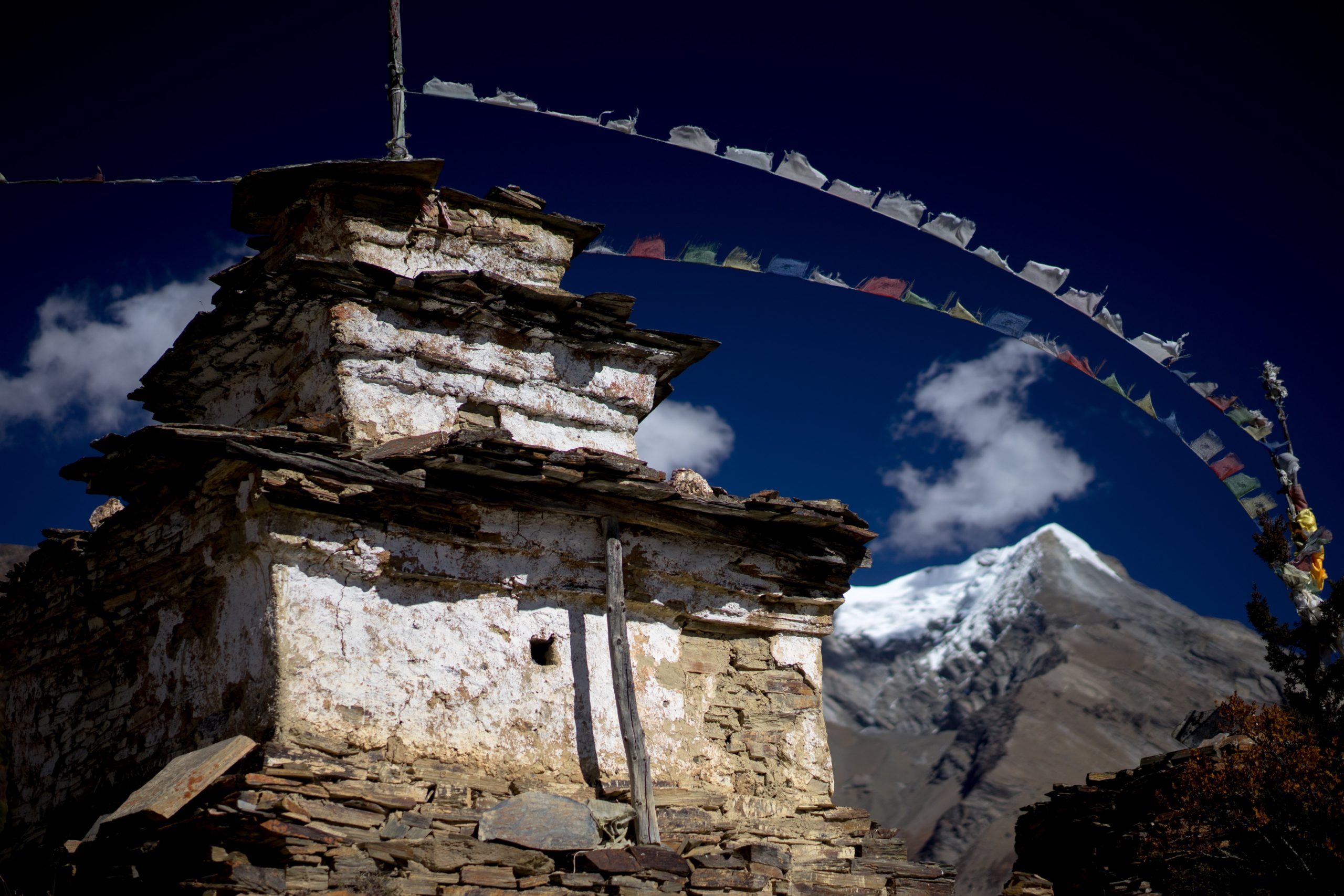 Elevated Trips: How We Practice Ecoutourism - Elevated Trips