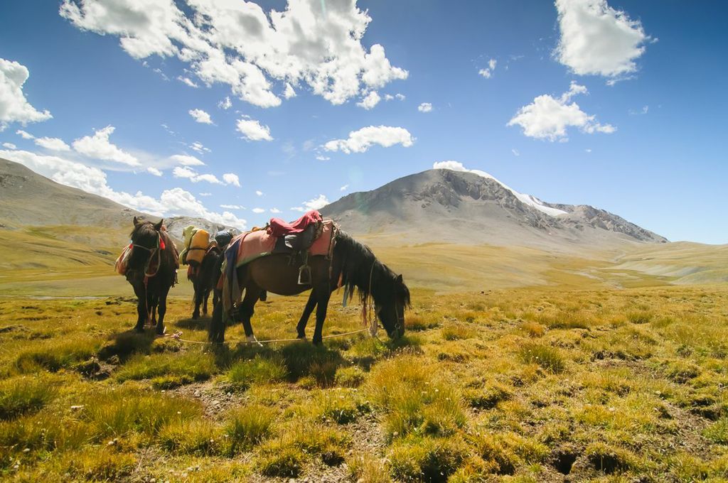 Sutras and Saddles - Elevated Trips