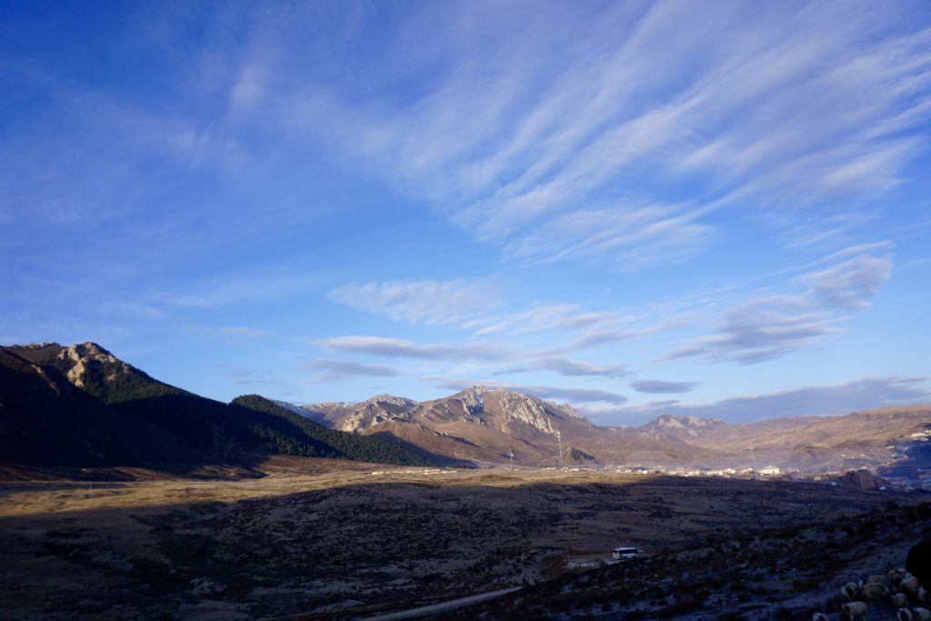 Tours - Elevated Trips