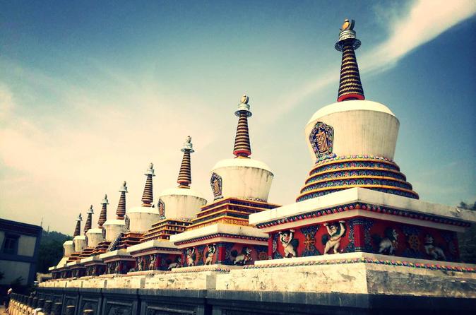 Xining - Elevated Trips